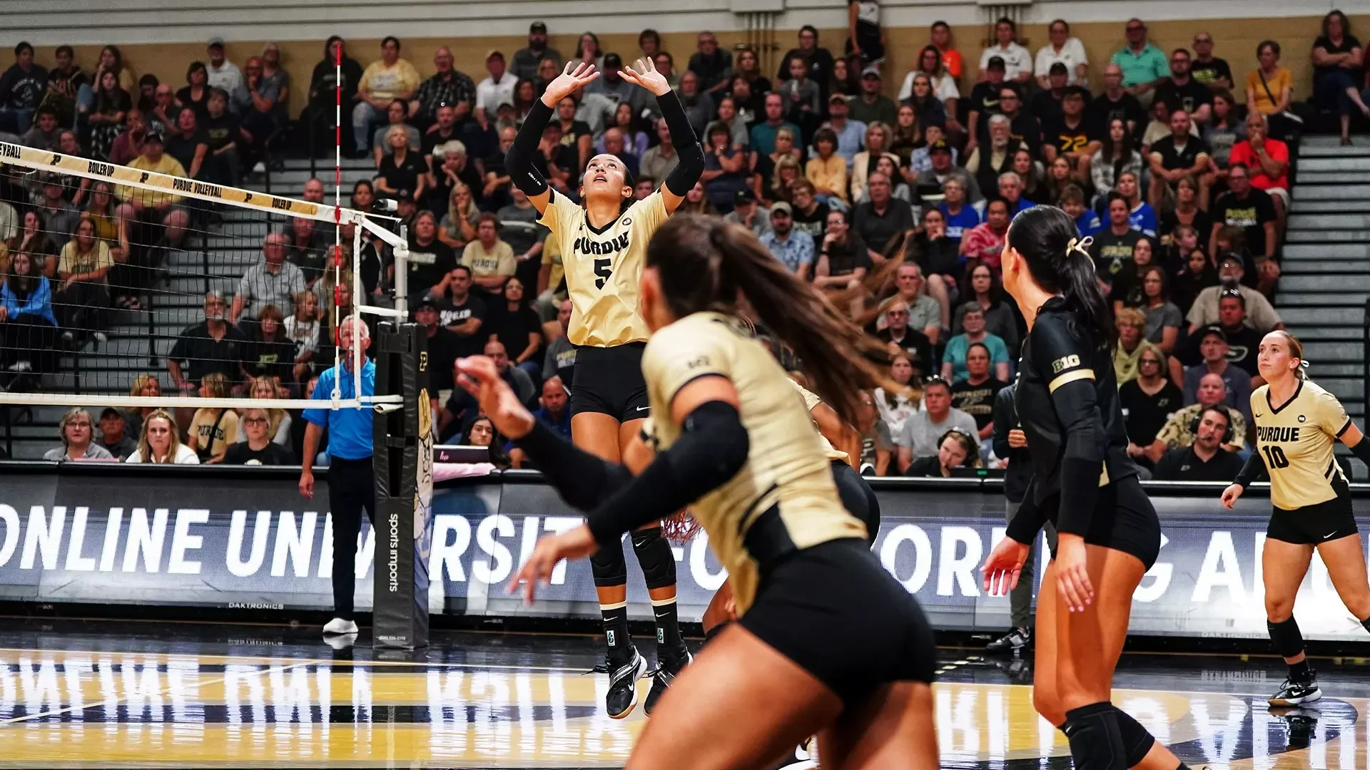 Anderson, Chicoine Garner Big Ten Weekly Awards - Purdue Boilermakers ...