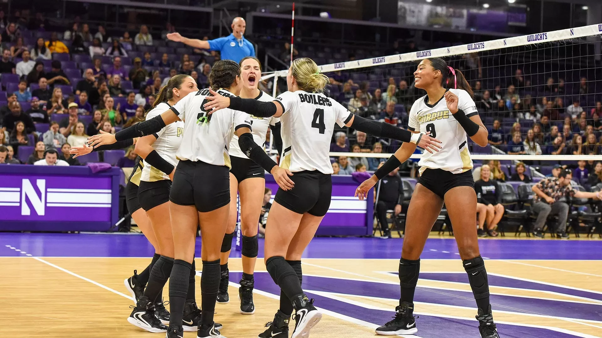 Wollard Shines at Northwestern - Purdue Boilermakers - Official ...