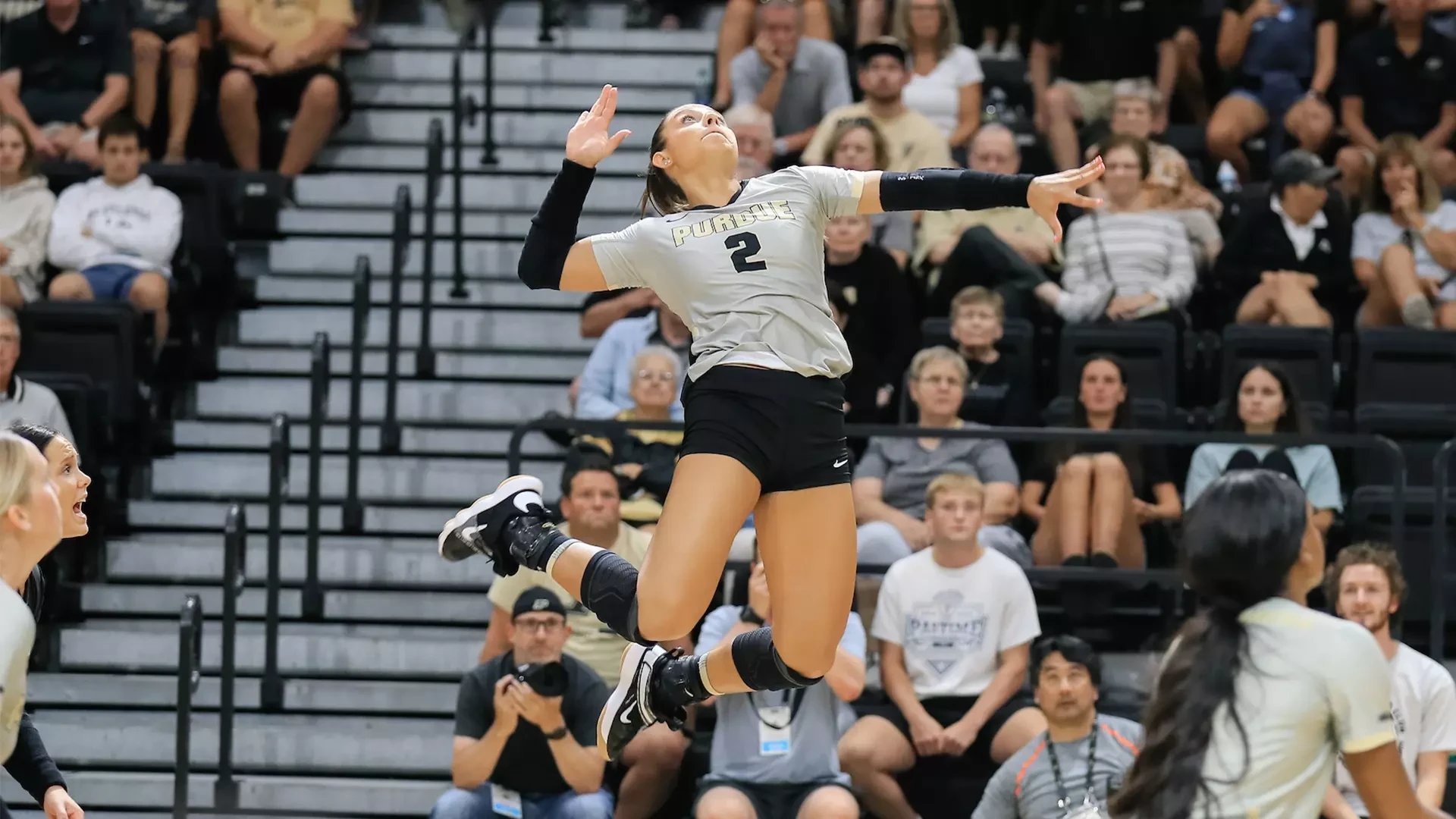Chicoine Named Big Ten Freshman of the Week - Purdue Boilermakers ...