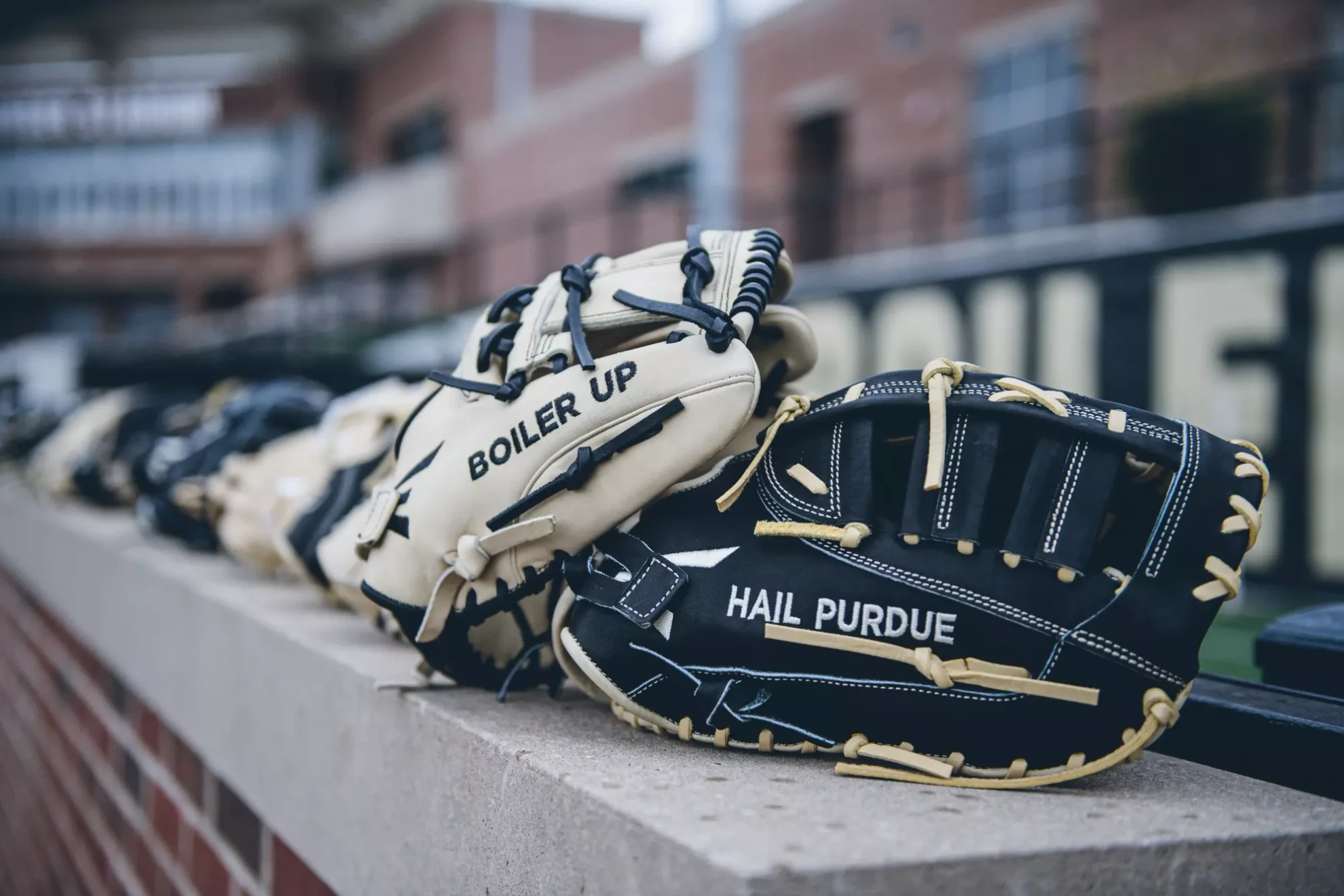 10 Things to Know Heading into the Purdue Softball Season - Purdue ...