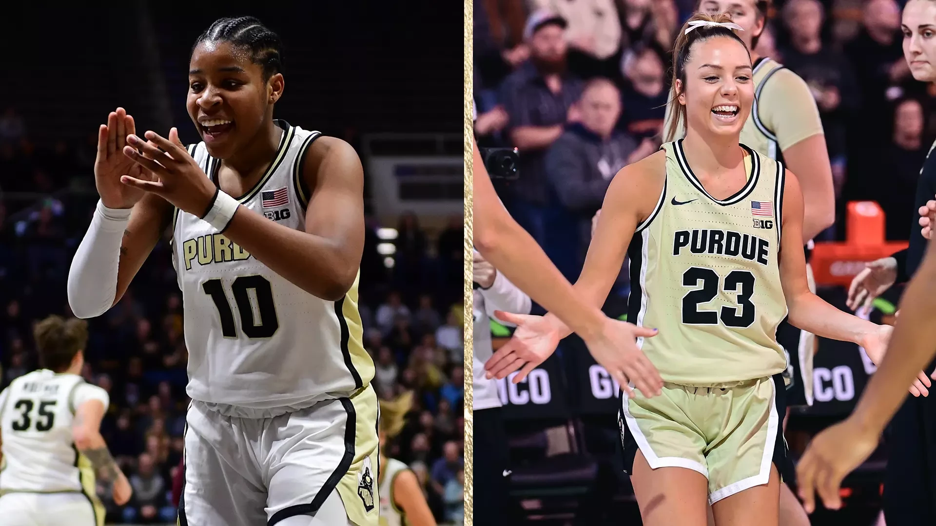 Terry, Ellis Named All-Big Ten - Purdue Boilermakers - Official ...