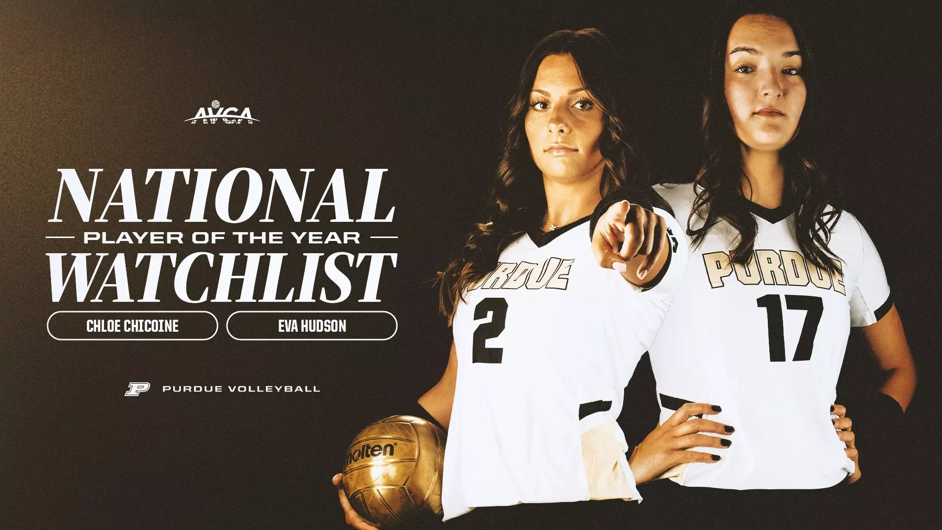 Chicoine, Hudson Named to the AVCA Player of the Year Watch List ...