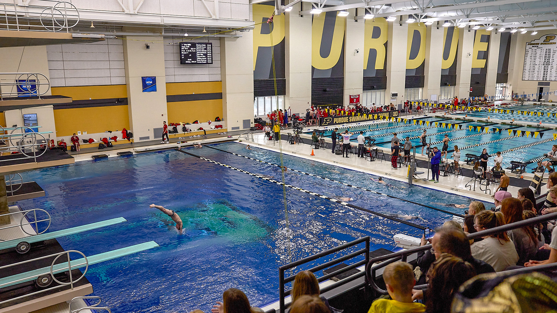 20 Boilermakers at the Pool Recognized as CSCAA Scholar All-Americans ...