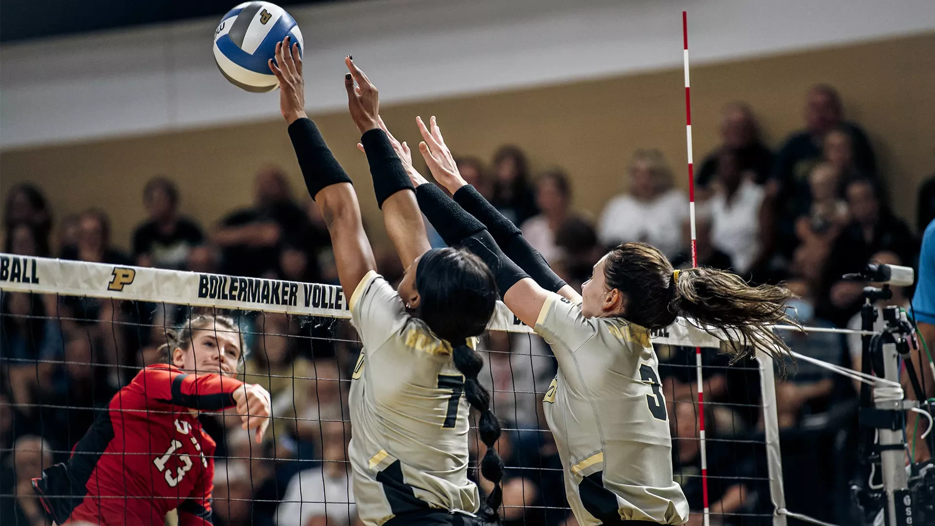 Volleyball to End Non-Conference Slate with the Stacey Clark Classic ...