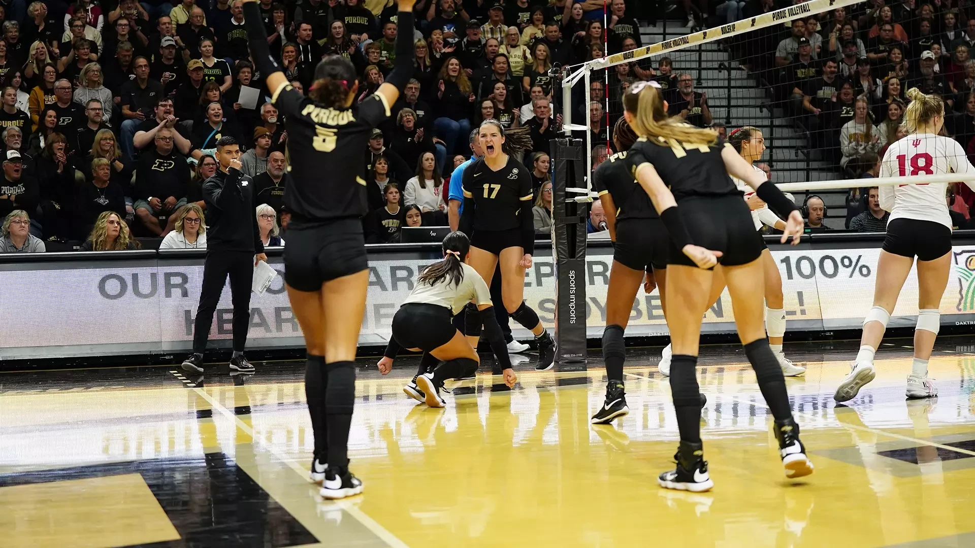 16 Blocks Lead Purdue to 3-1 Victory vs Indiana - Purdue Boilermakers - Official Athletics Website