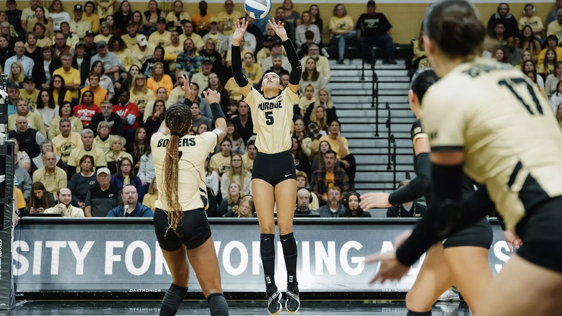 Anderson Selected for U21 Women’s National Team - Purdue Boilermakers ...