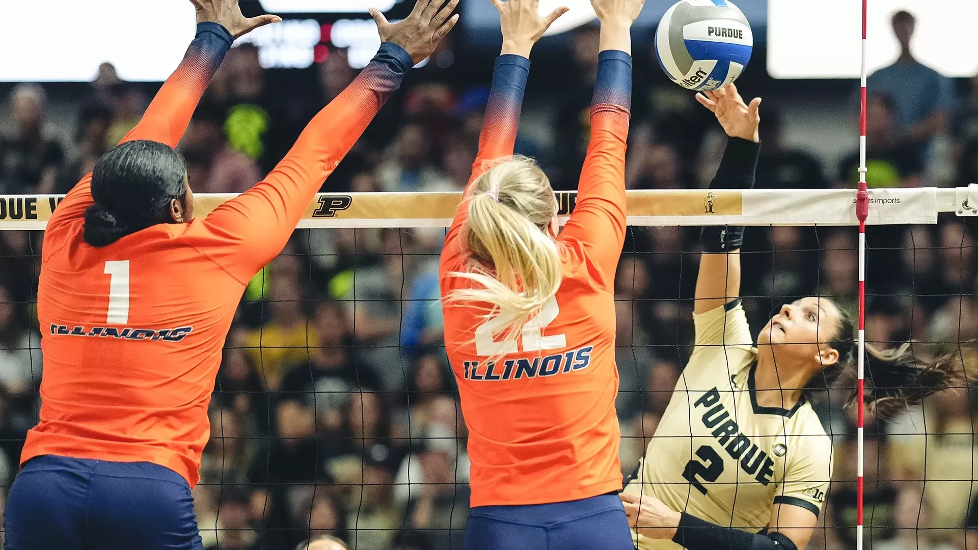Chicoine Picks Up Big Ten Freshman of the Week - Purdue Boilermakers ...