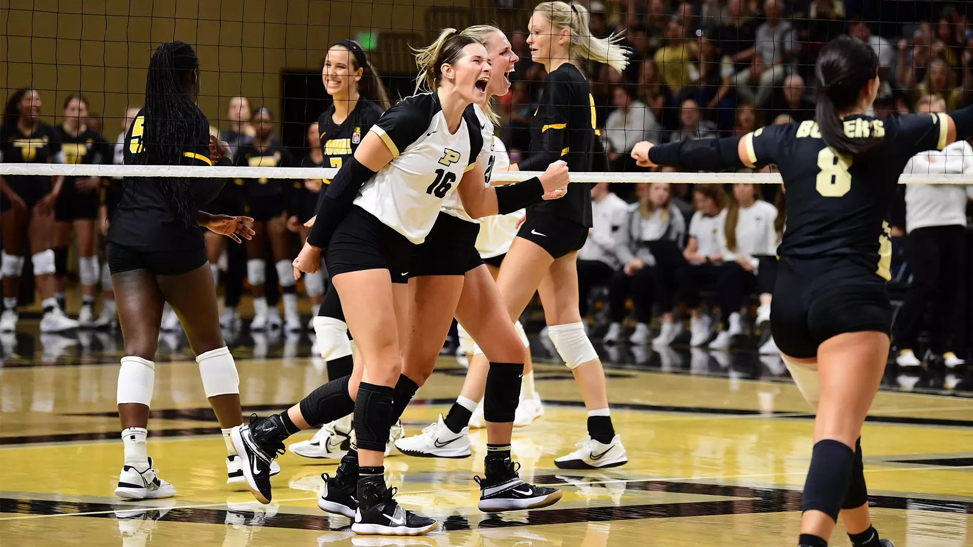 Koch, Hudson Powers #5 Purdue Past Iowa, 3-2 - Purdue Boilermakers ...