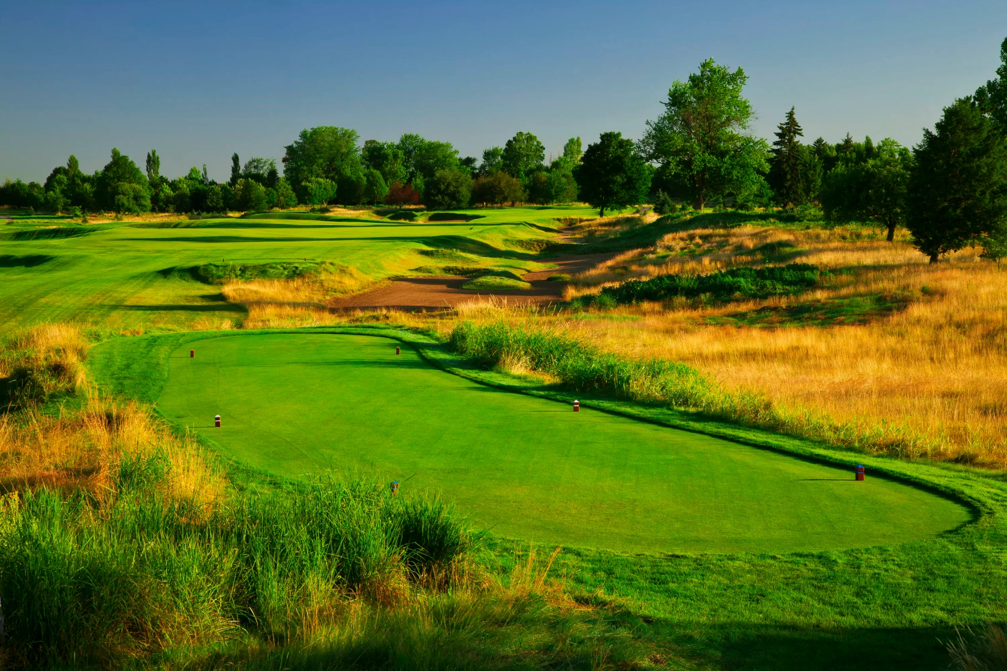 Former Student-Athlete Makes Transformational $20 Million Gift for Pete ...