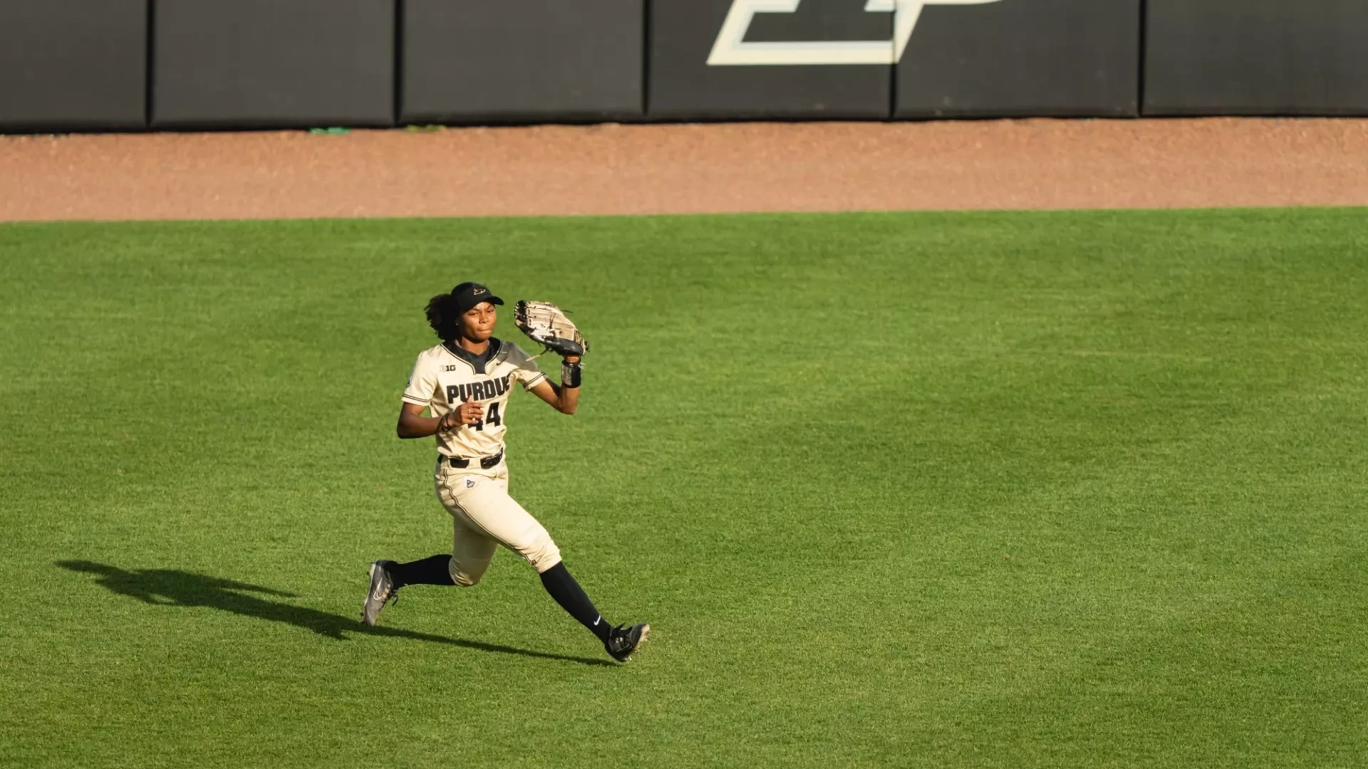 Polar Earns Second-Consecutive Softball America Honors - Purdue ...